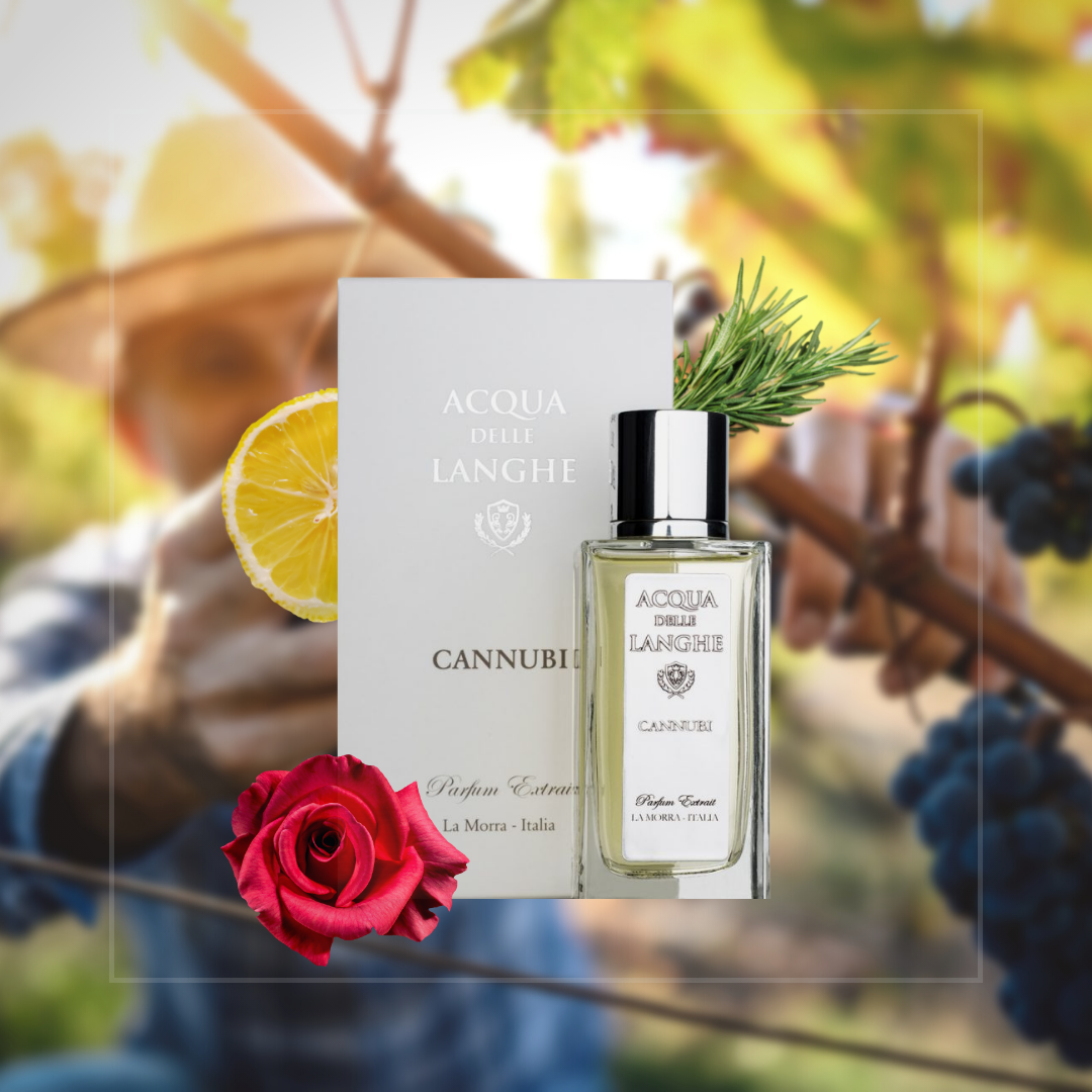 Cannubi – Acqua delle Langhe - Official Online Store
